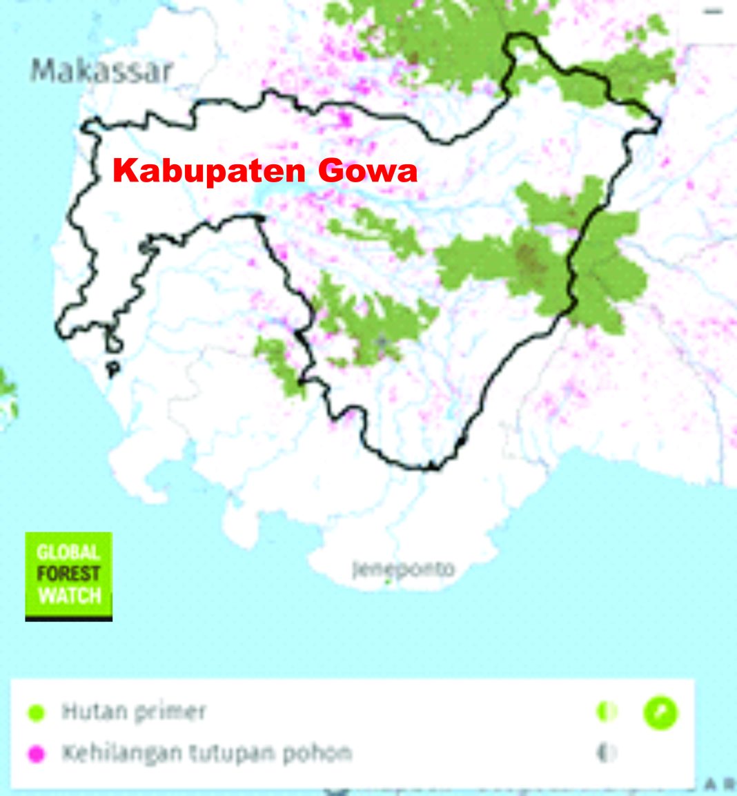 Waspadalah Jika Hutan Malino Rusak